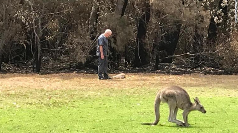 (Solution) ENC 1101: English Composition I Assignment 2.2: Images for ...